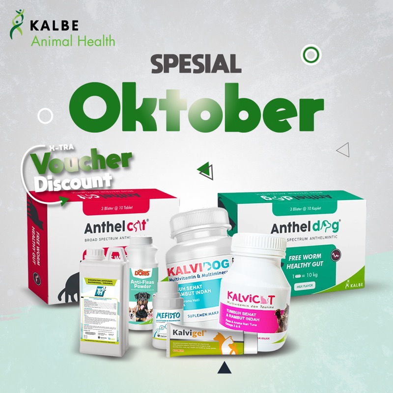 kalbeanimalhealth (@kalbeanimalhealth) is LIVE - TikTok LIVE