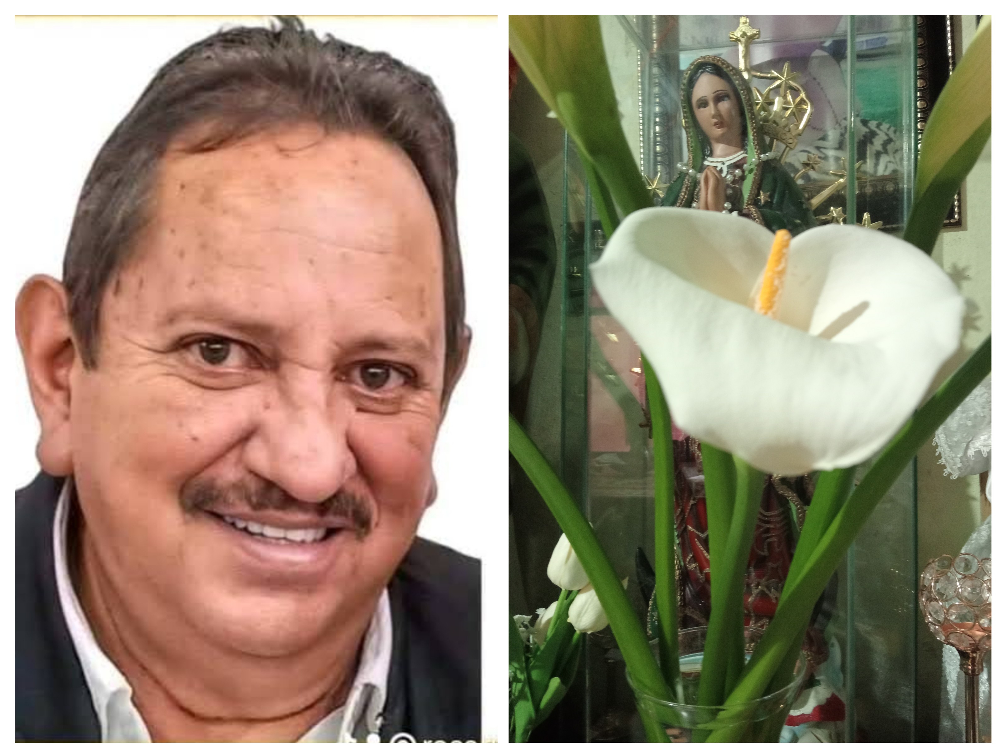 rosario torres (@rosariotorres564) is LIVE - TikTok LIVE