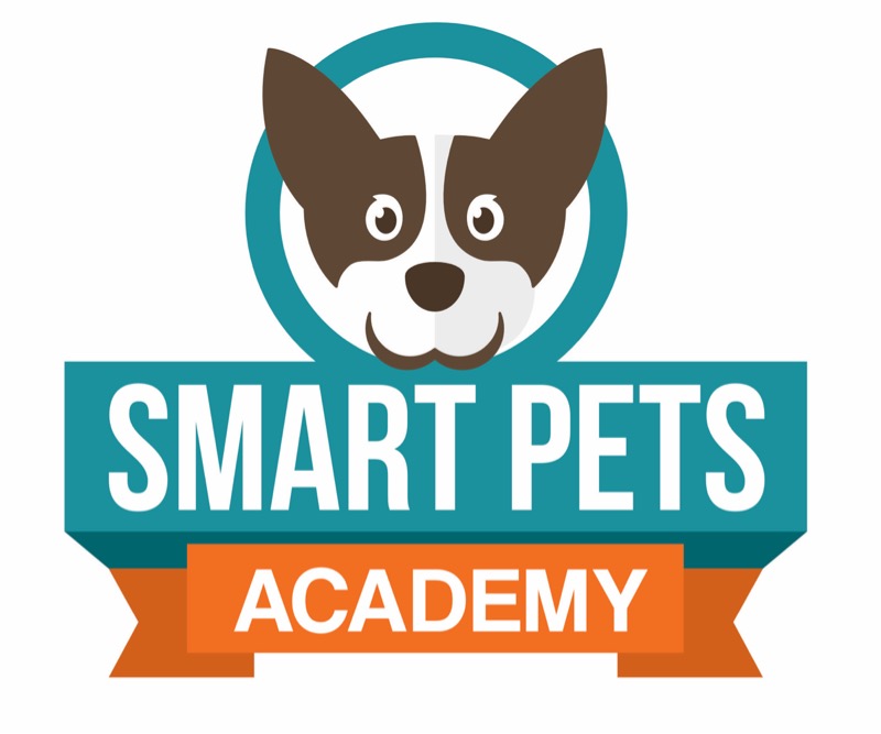 Smart Pets Academy (@smartpets_academy) is LIVE - TikTok LIVE