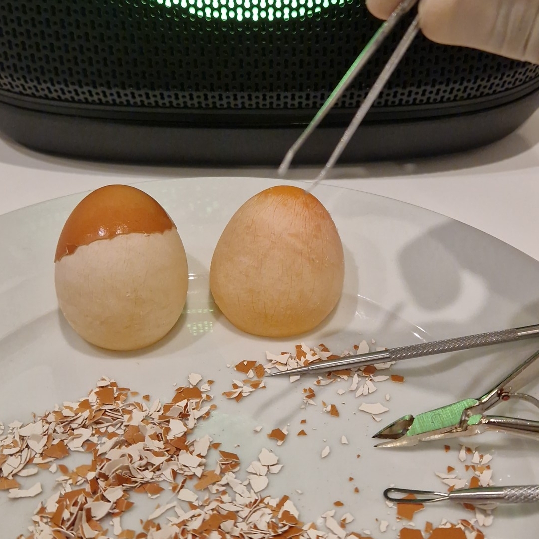 Zé do ovo (@ze_do_ov0) is LIVE - TikTok LIVE