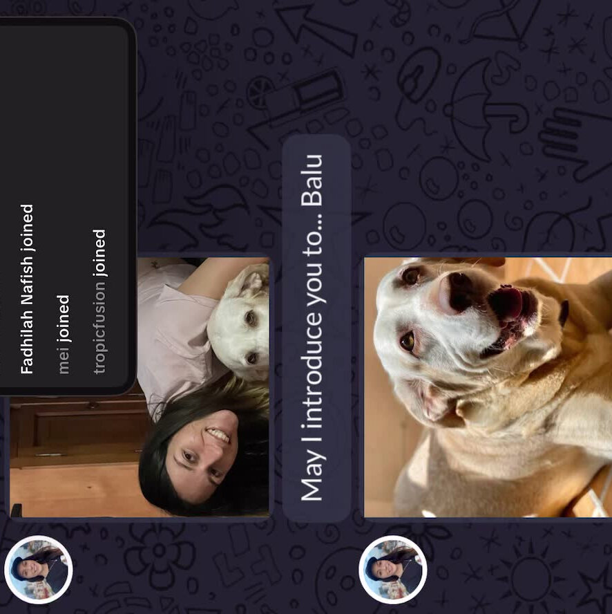 SunshooterSha (@sunshootersha) is LIVE - TikTok LIVE