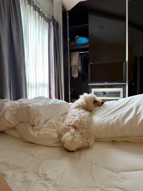 lielnicole (@lielnicole) is LIVE - TikTok LIVE