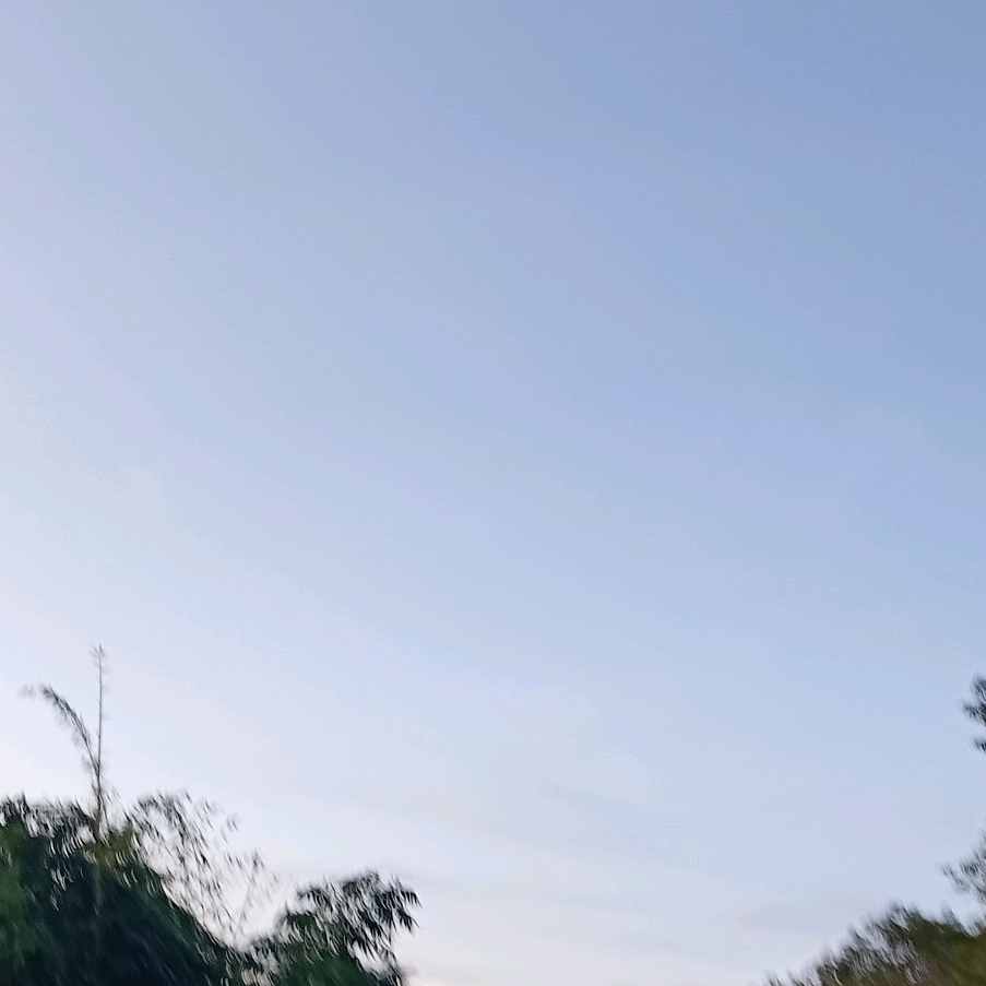 Betiy (@betiy499) is LIVE - TikTok LIVE