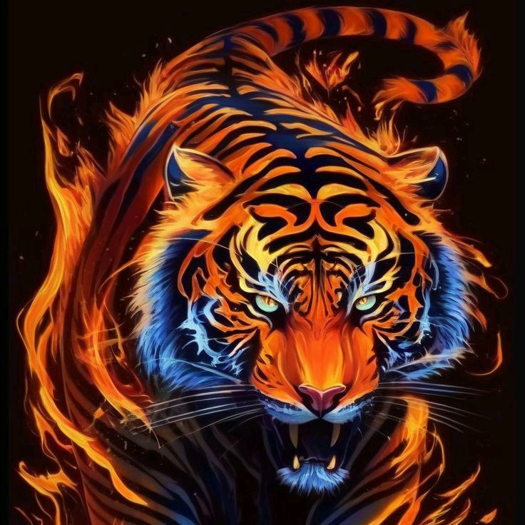 ️‍🔥TIGERS ️‍🔥 (@the_real_tiger_4) is LIVE - TikTok LIVE