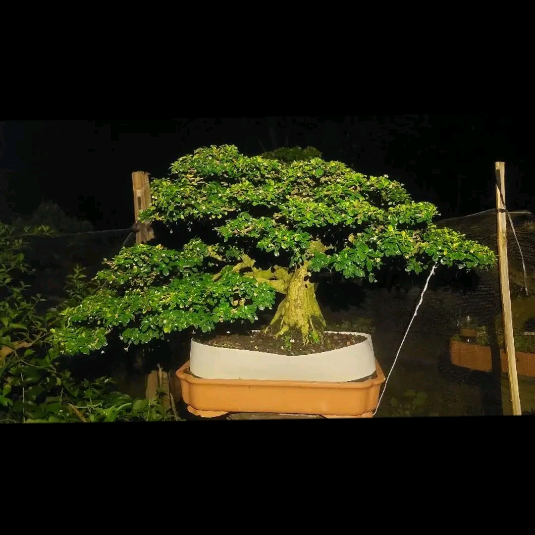 Stoart (@stoart11) is LIVE - TikTok LIVE