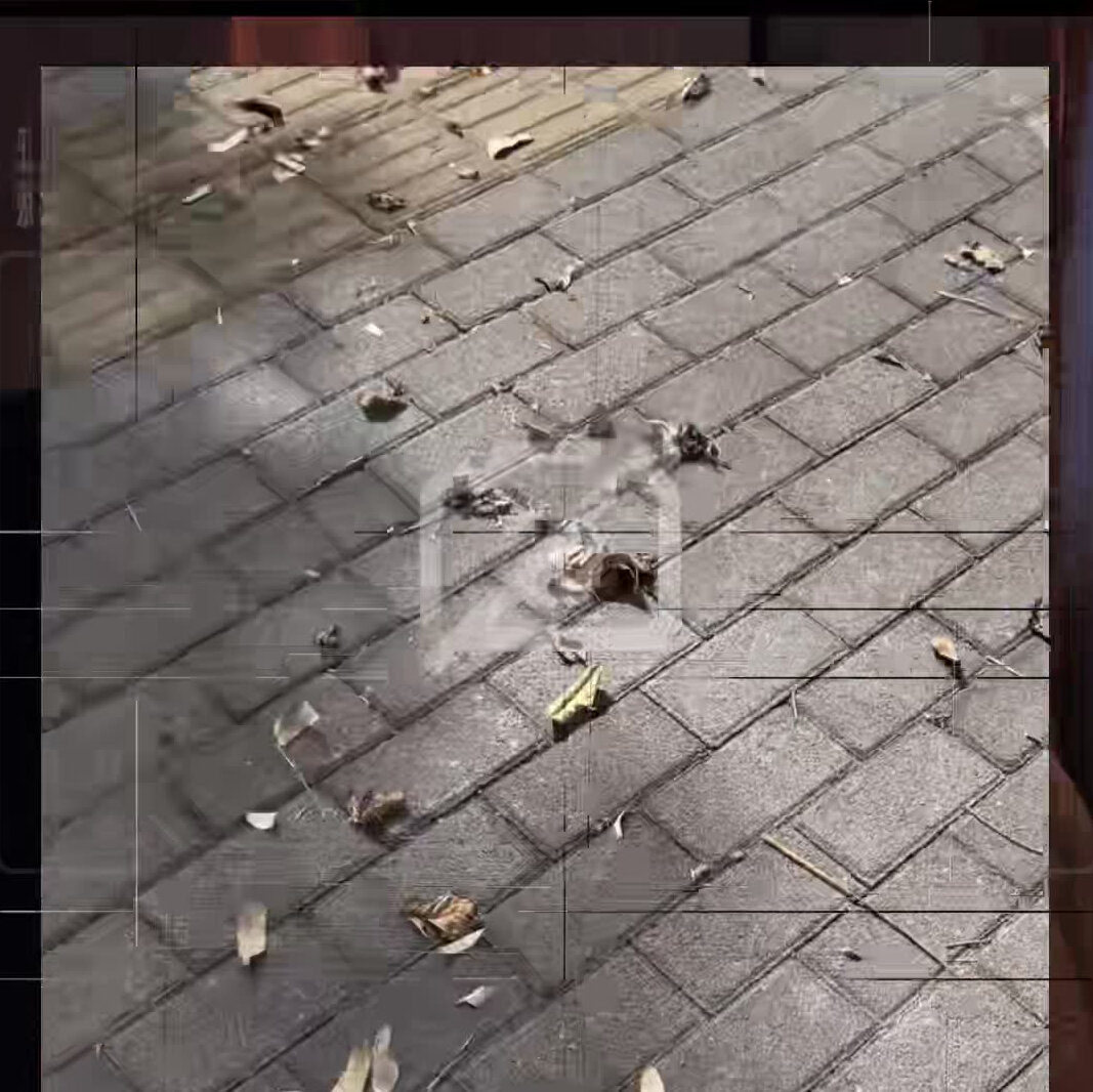 lizz (@lizz2607) is LIVE - TikTok LIVE