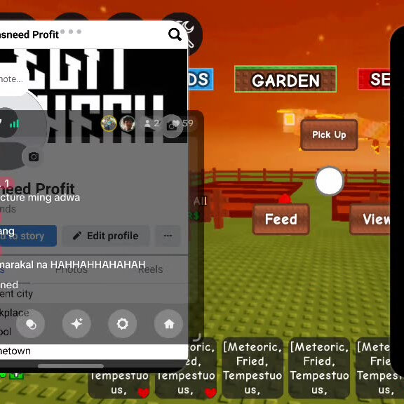 anss the farmer (@orayt._.1) is LIVE - TikTok LIVE