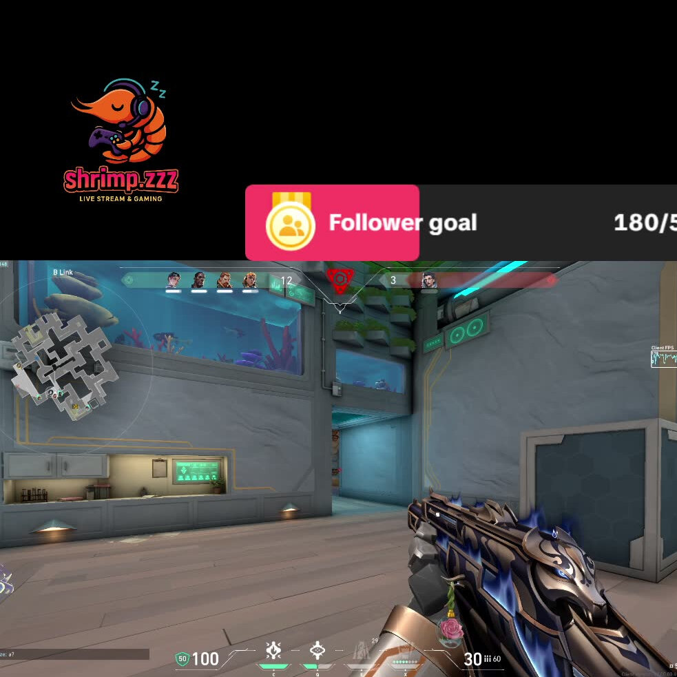 shrimp.zzz (@shrimp.zzz) is LIVE - TikTok LIVE