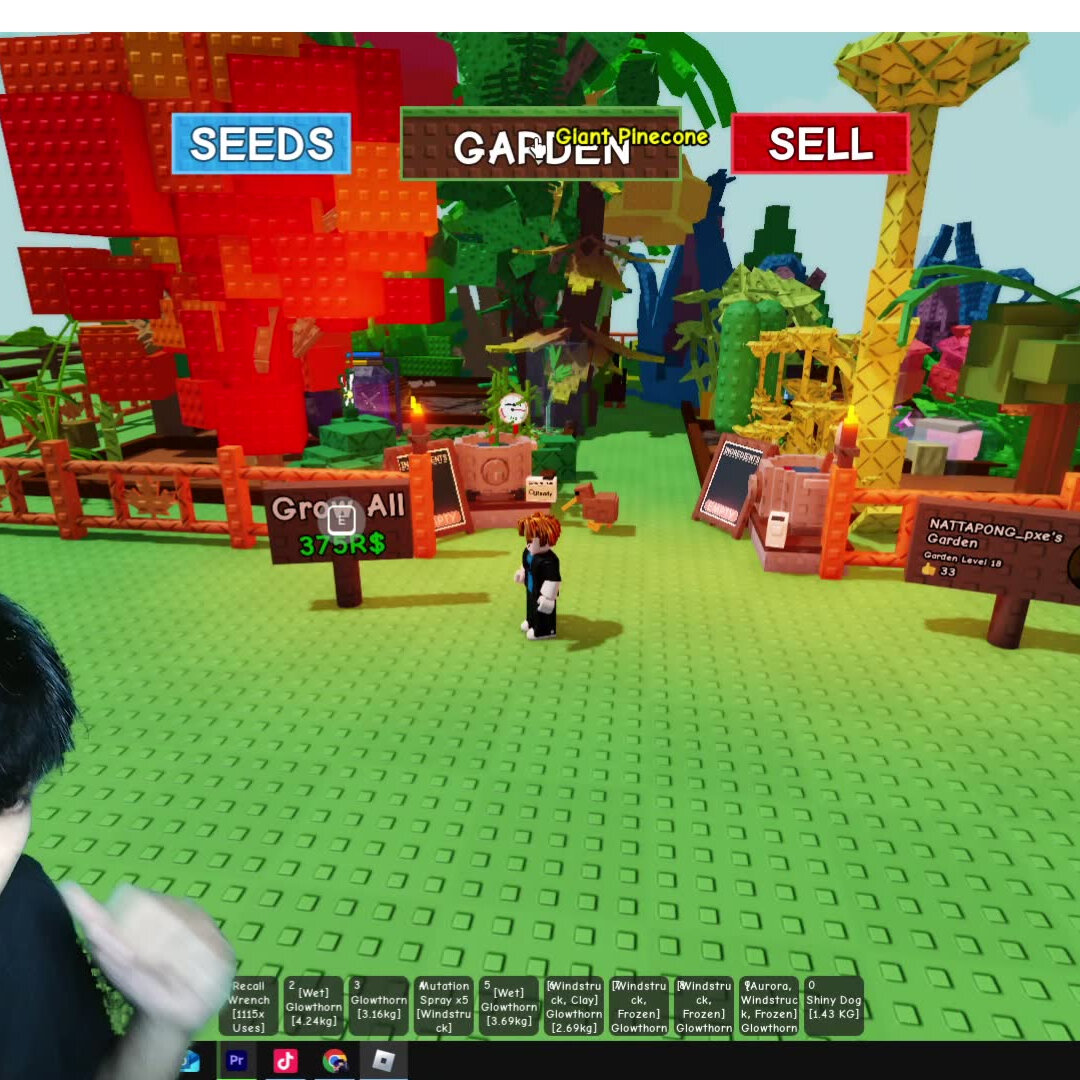 พายซองดริฟ(ช่องหลักโดนแบนถาวร) (@peepie__) is LIVE - TikTok LIVE