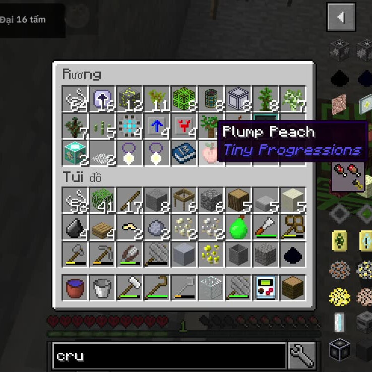 Gấu Xám (@gauxam_graybear) is LIVE - TikTok LIVE