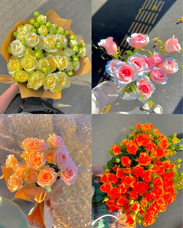Hafso cosmetics 🛍️ (@haphsina_haji) is LIVE - TikTok LIVE