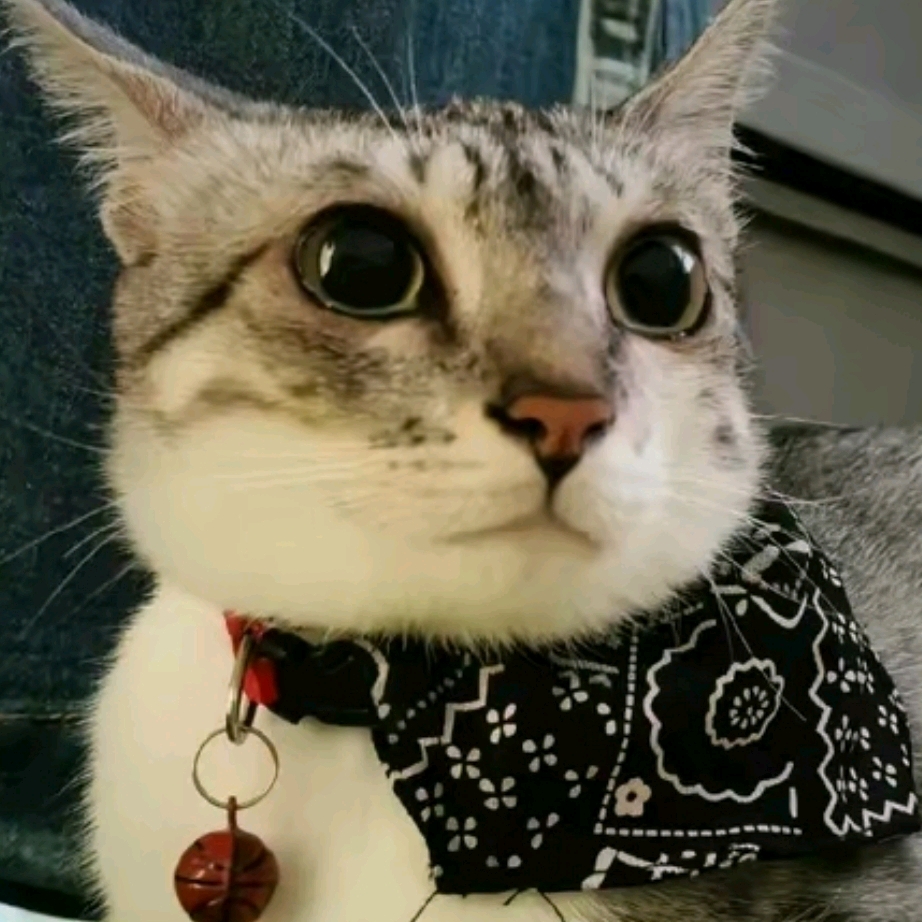 Jose Huang🫅 (@huangrex) is LIVE - TikTok LIVE