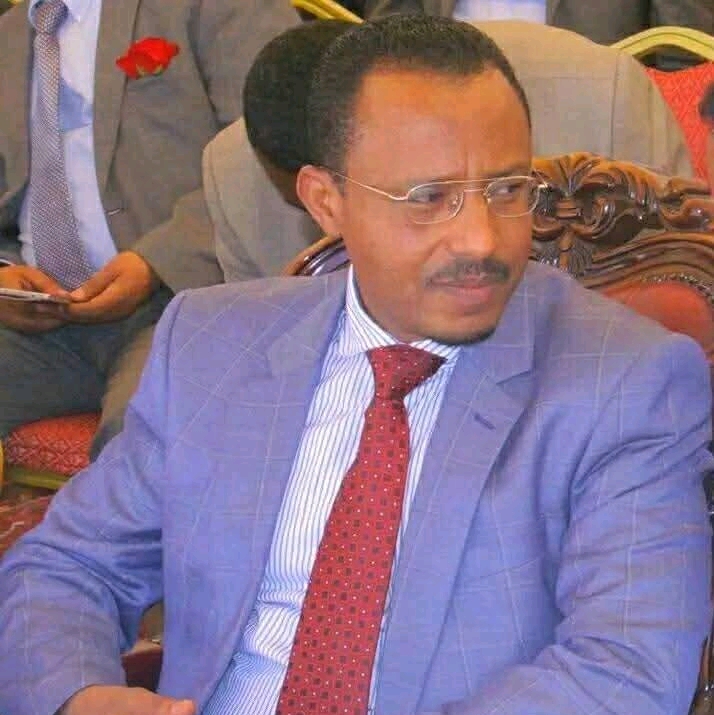 Dr. Lemma Megersa (@lemmamegersawako) is LIVE - TikTok LIVE