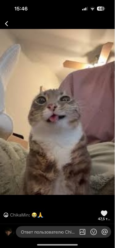 ALI | BARBER | ASTANA 💈 (@tairuli.ali) is LIVE - TikTok LIVE