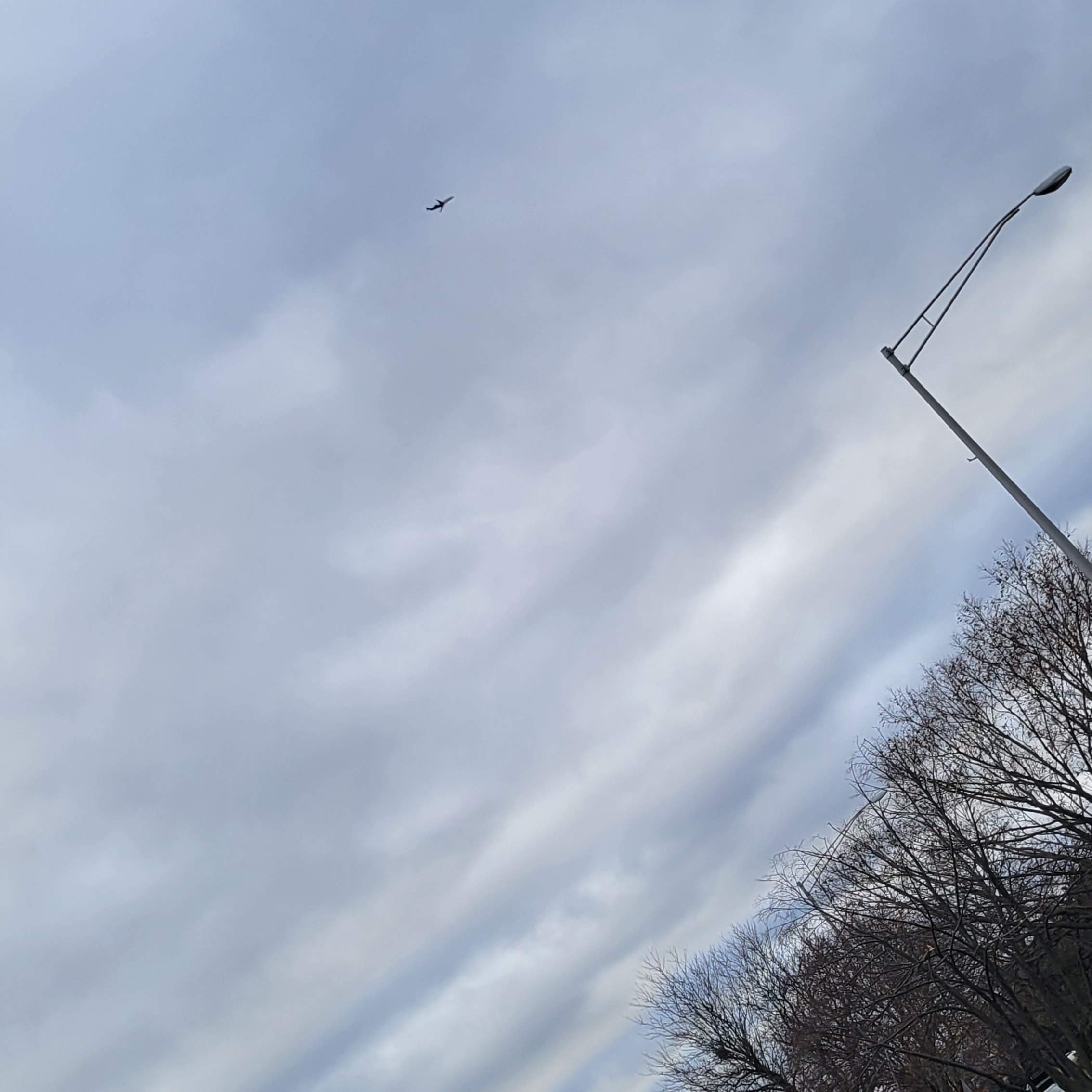 🦇WRONG POINT 🇺🇸 (@wrongpoint_official) is LIVE - TikTok LIVE