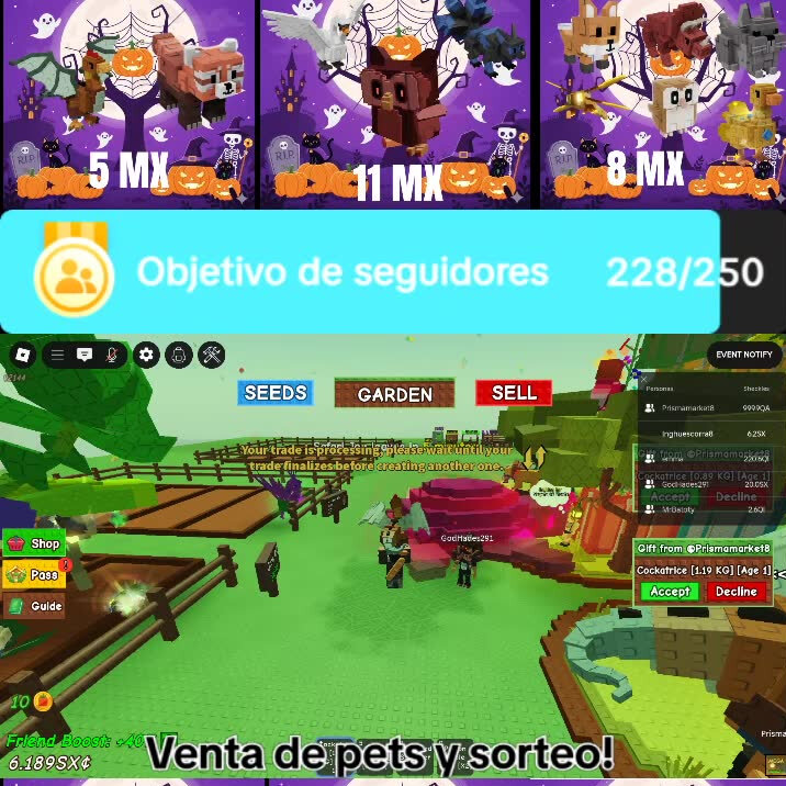 Prisma Market (@prisma.market7) is LIVE - TikTok LIVE